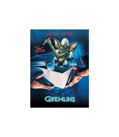 Gremlins Stripe Framed Canvas Print (Multicolored) (40cm x 30cm ...